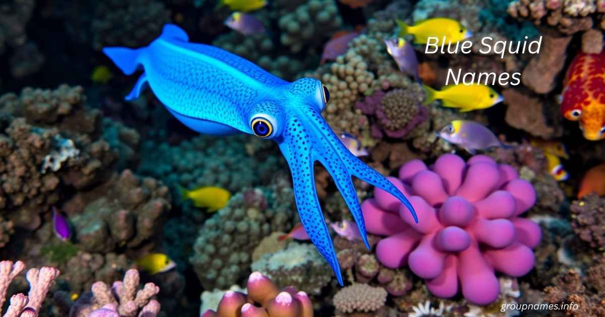 380 Cool and Catchy Squid Names [Unique Ideas]
