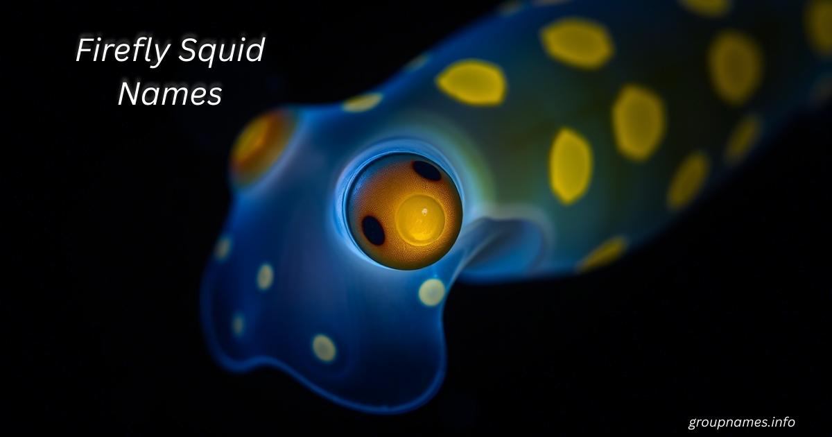 380 Cool and Catchy Squid Names [Unique Ideas]