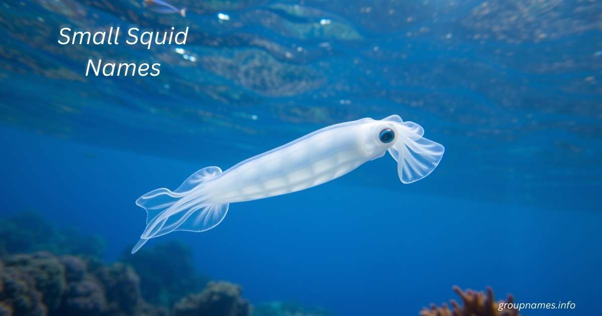 380 Cool and Catchy Squid Names [Unique Ideas]