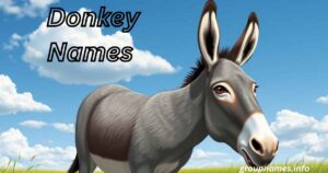 330+ Donkey Names with Cute, Funny, and Popular Options