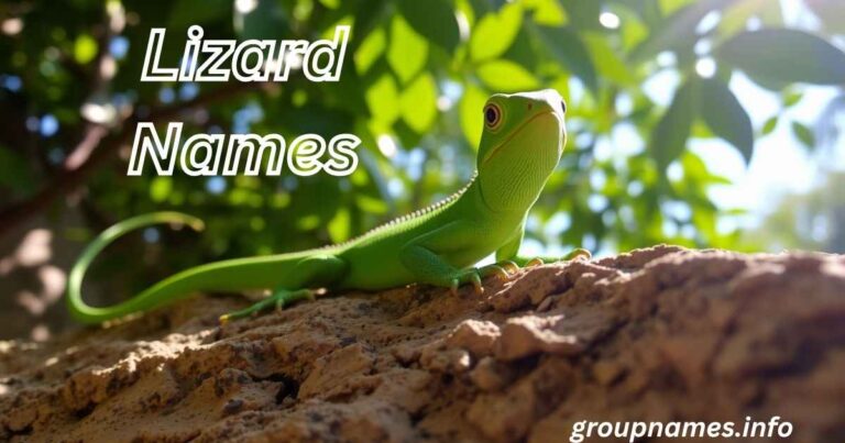355+ Lizard Names with Cute, Funny, and Mythological Options