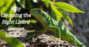 355+ Lizard Names with Cute, Funny, and Mythological Options